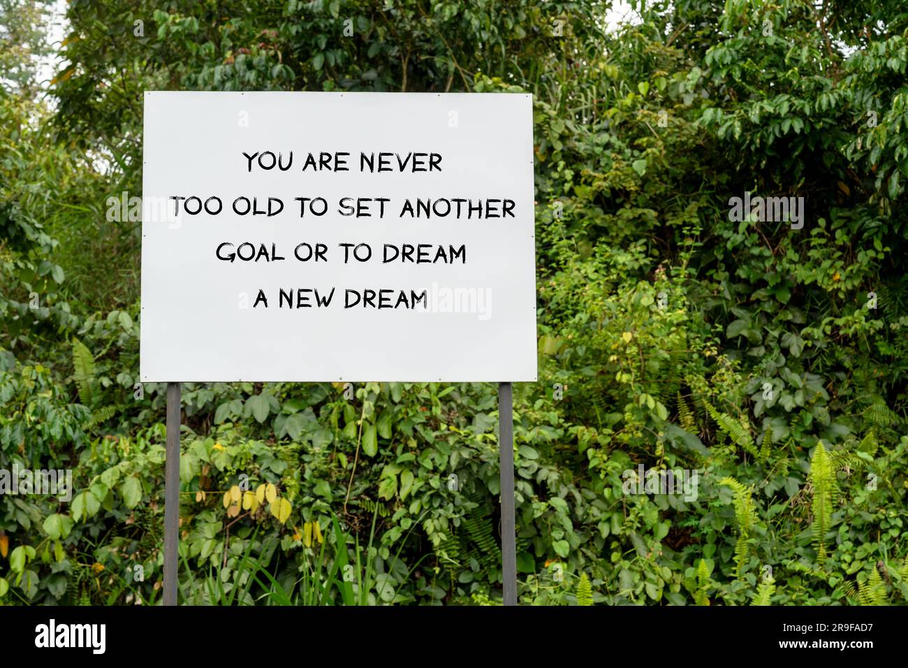 Signage with inspirational quotes - you are never too old to set ...