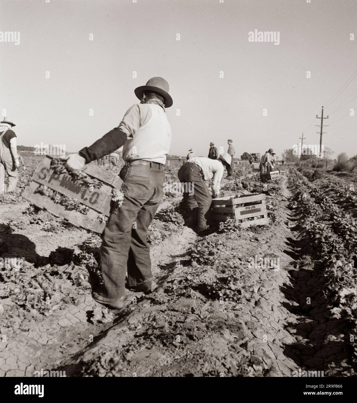 Photographer Dorothea Lange photographs America during and after the ...