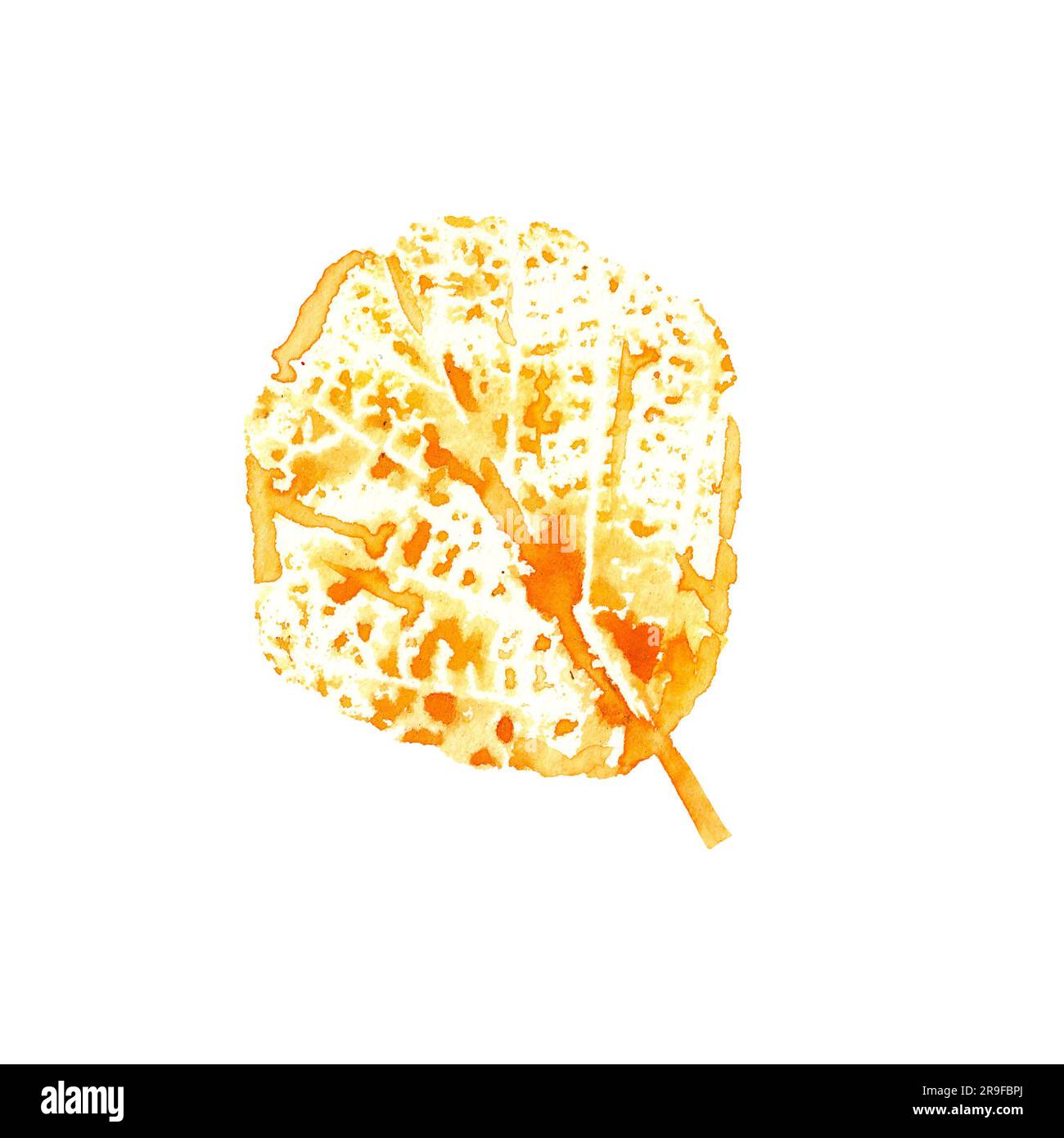 Yellow autumn aspen leaf imprint isolated on white background ...