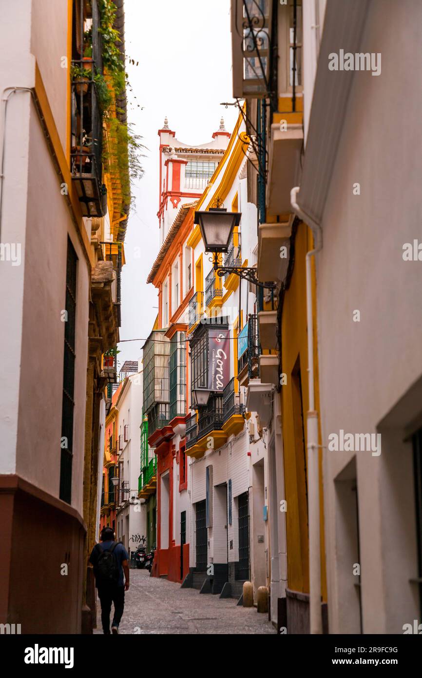Seville, Spain-FEB 24, 2022: Typical street view and generic ...