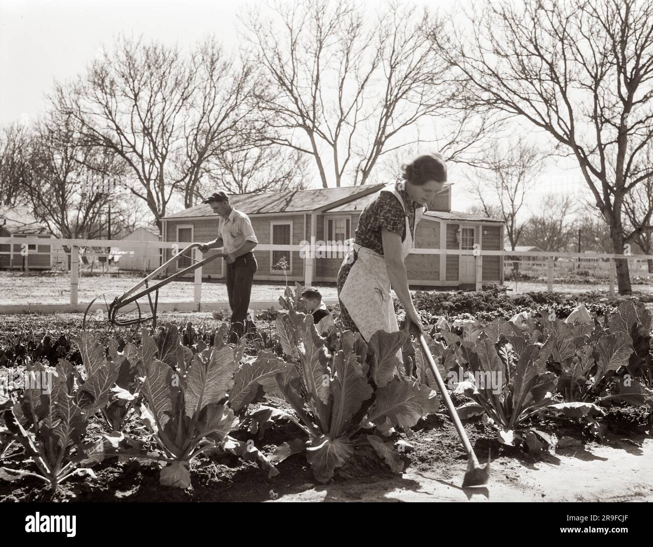 Photographer Dorothea Lange photographs America during and after the ...
