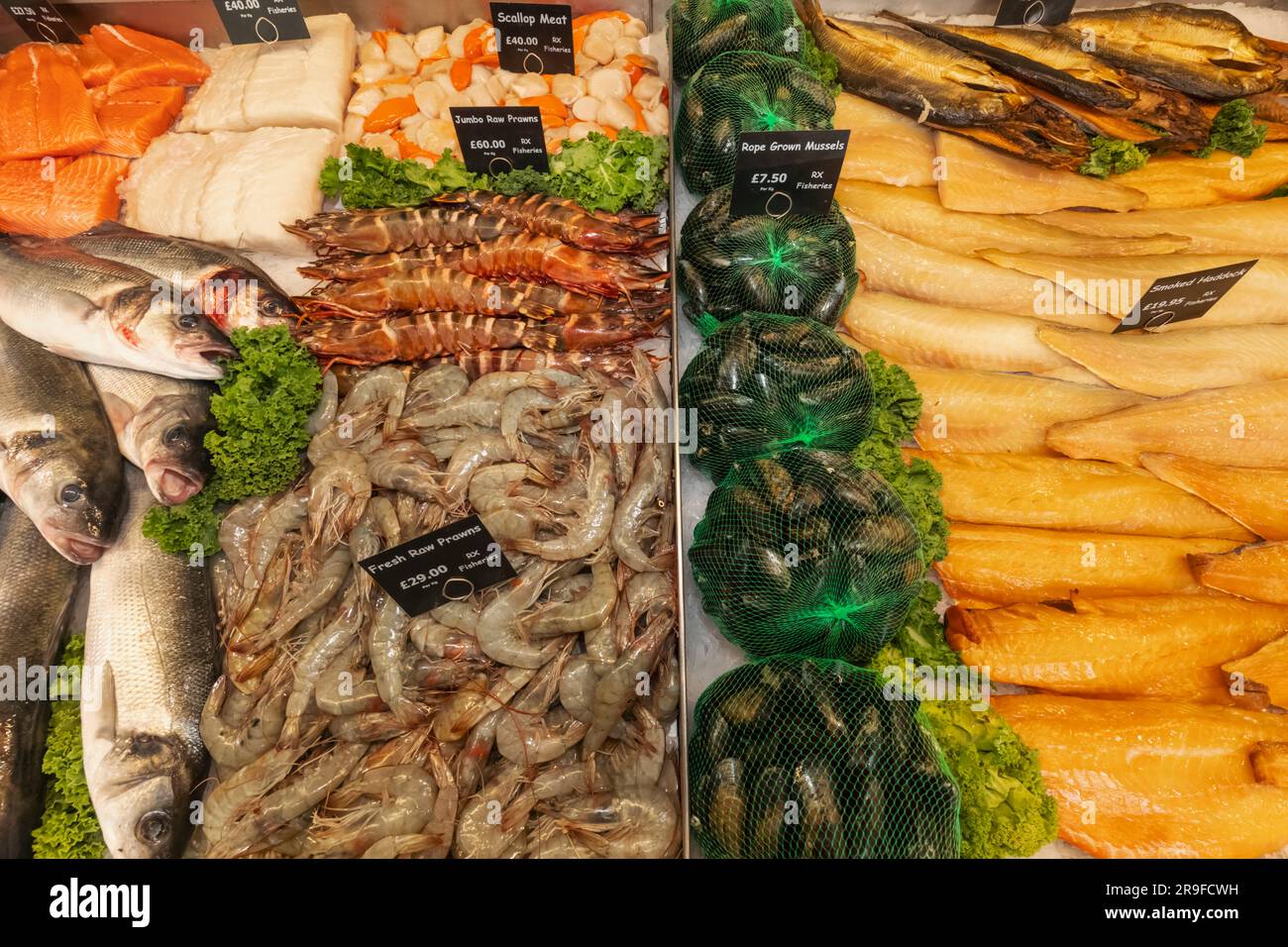 Rx fisheries hi-res stock photography and images - Alamy