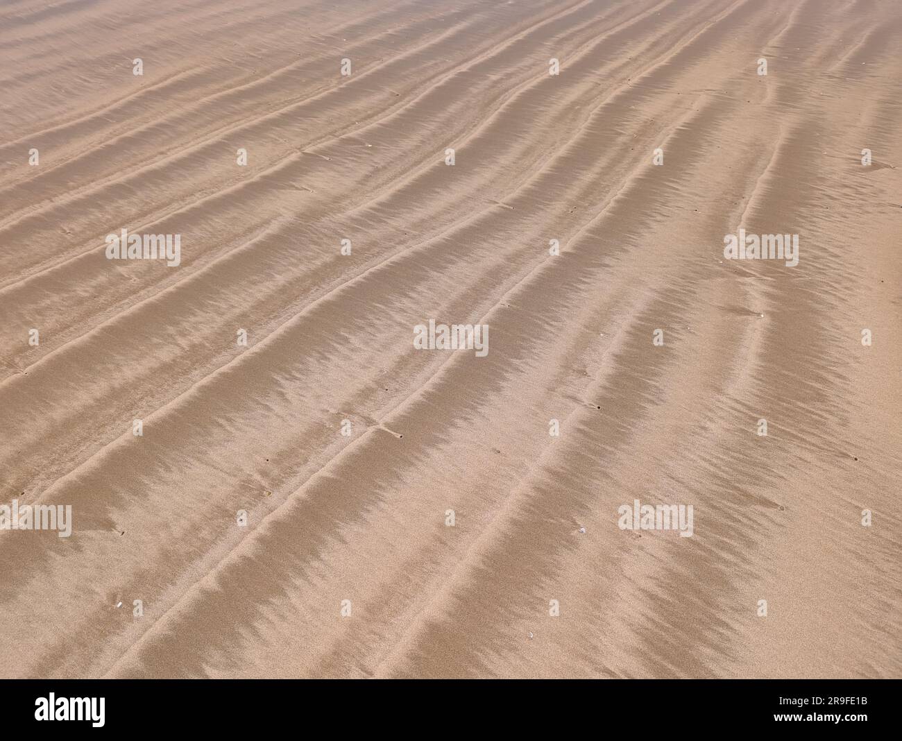 Beautiful lines at the beach naturally drawn from the waves of the sea ...