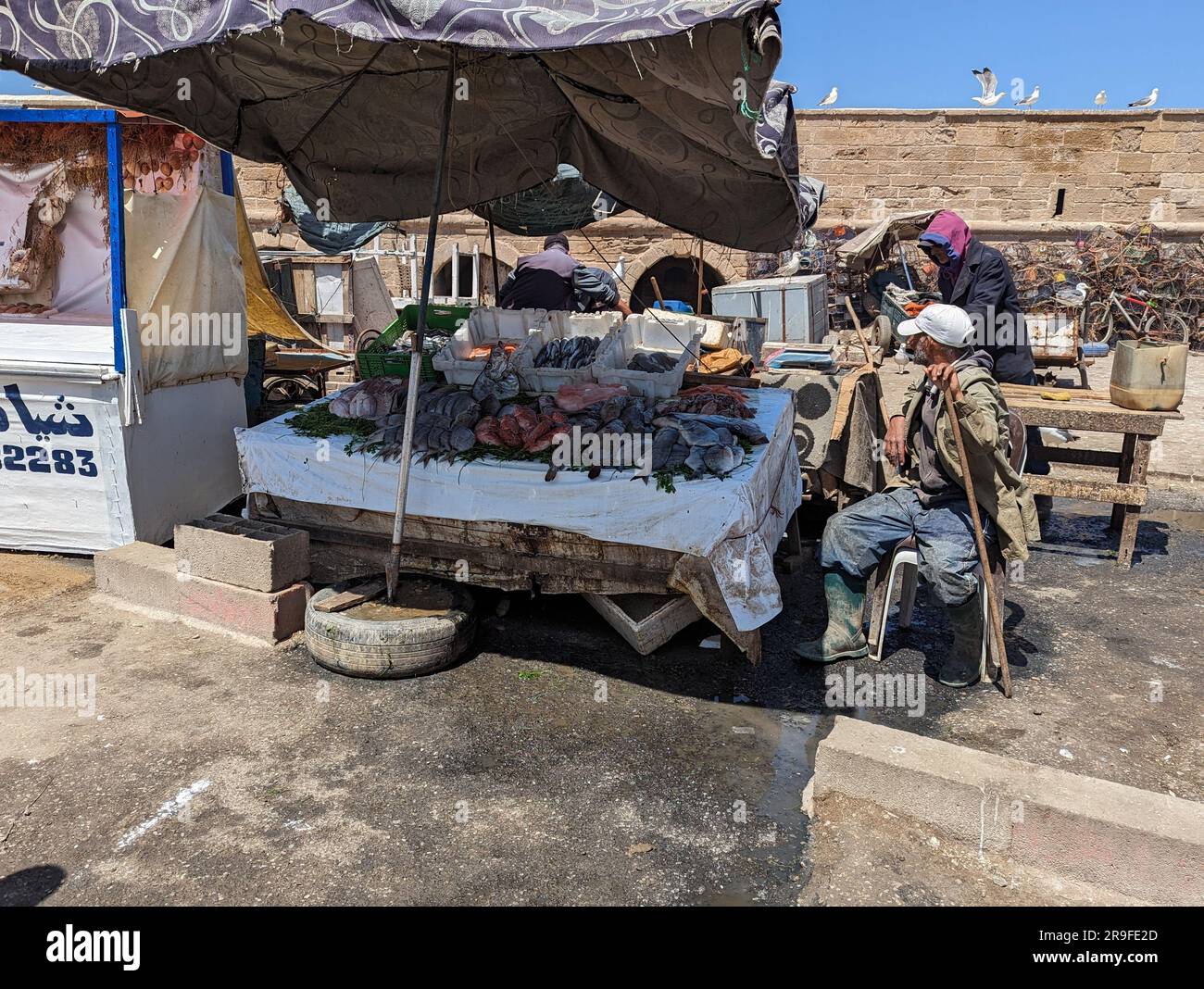 ESSAOUIRA, MOROCCO - APRIL 10, 2023 - A typical stand at the fish ...