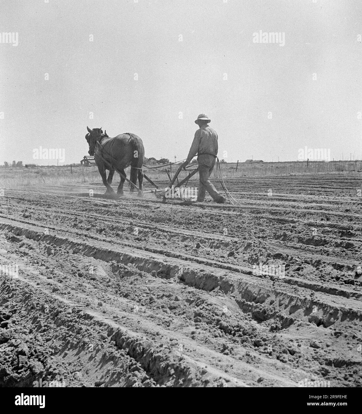 Photographer Dorothea Lange photographs America during and after the ...