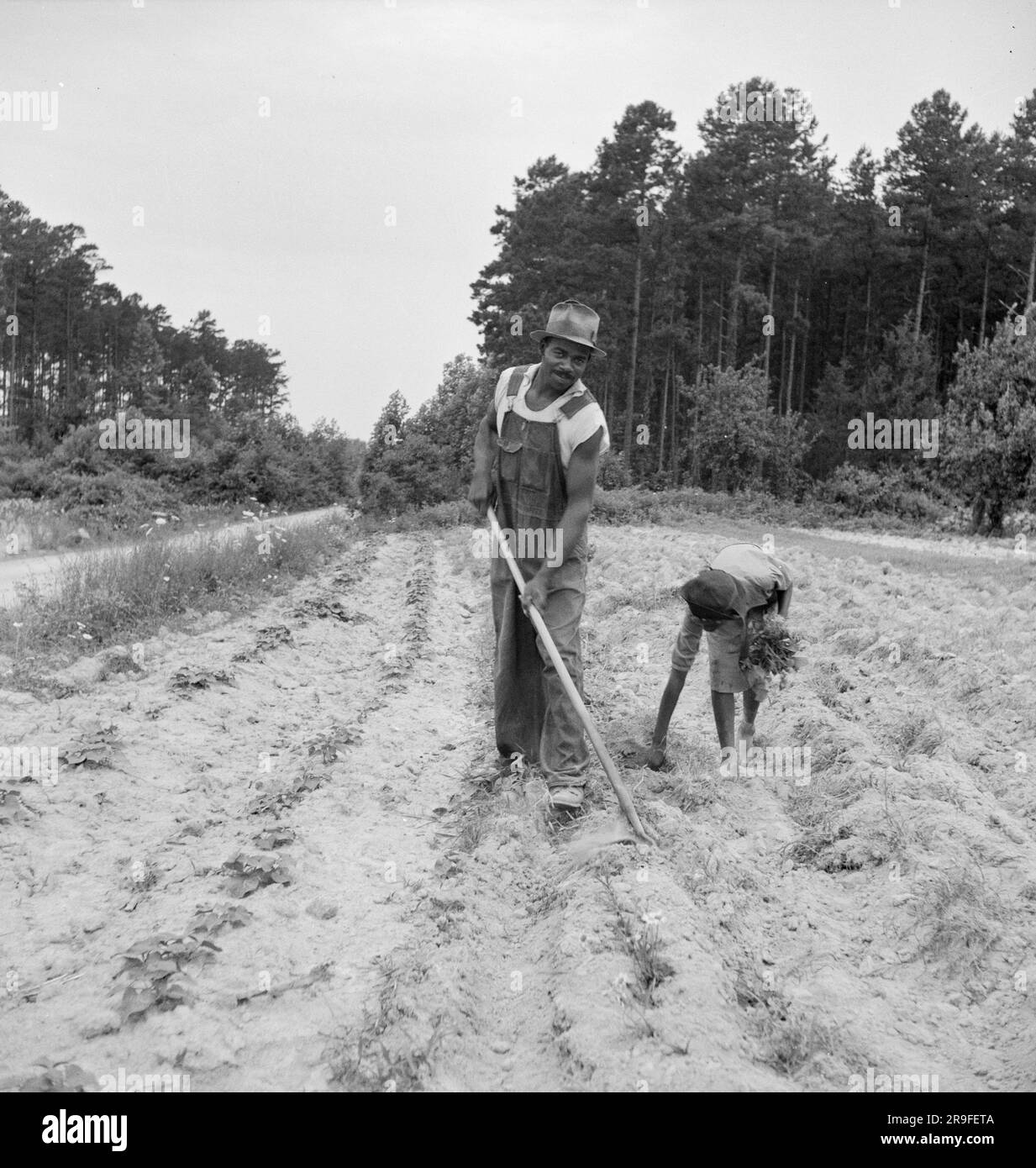 Photographer Dorothea Lange photographs America during and after the ...