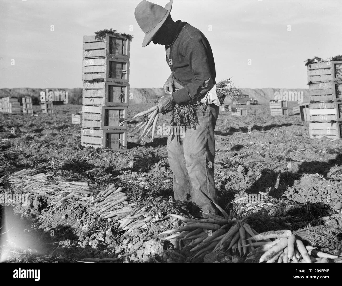 Photographer Dorothea Lange photographs America during and after the ...