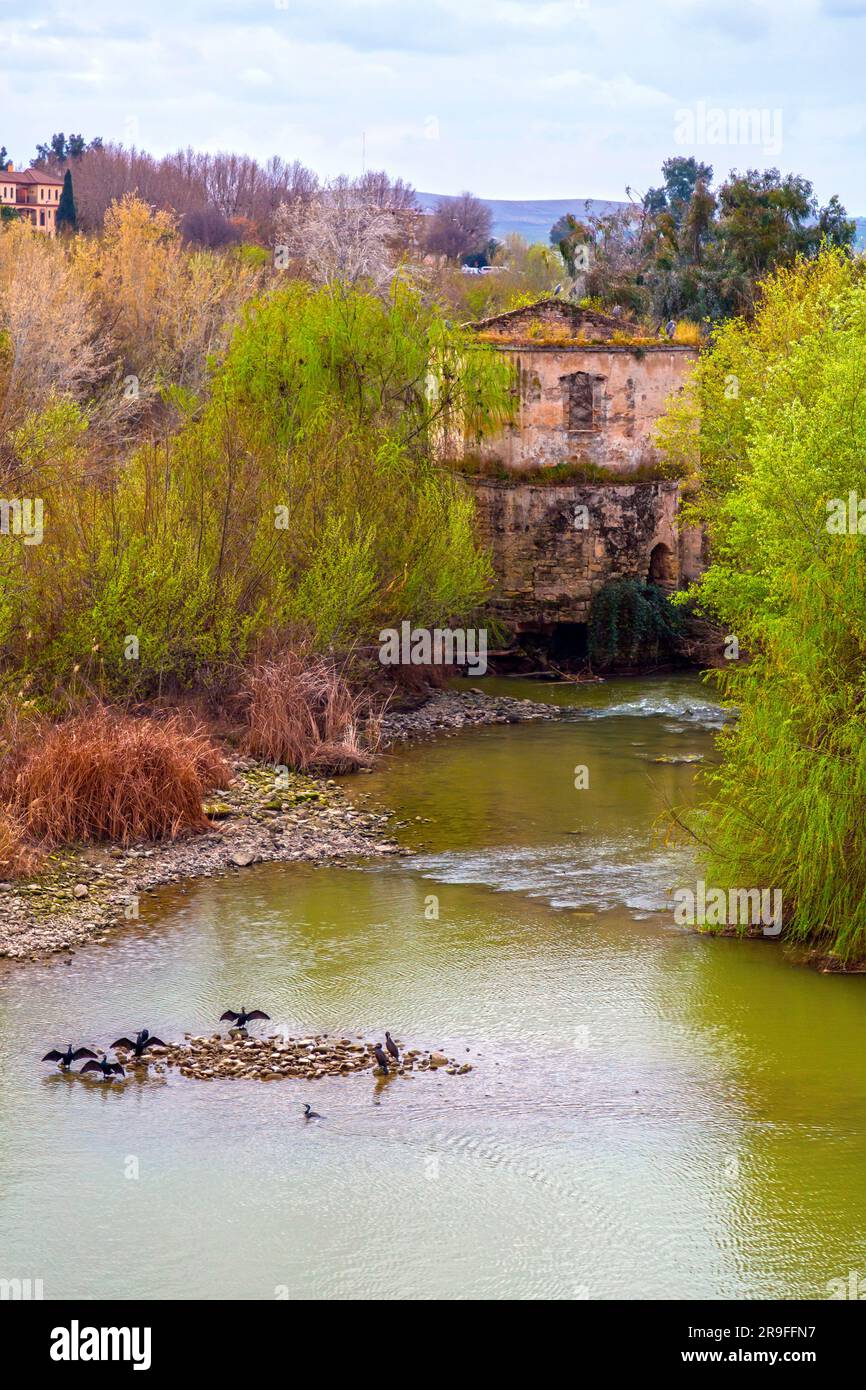 View from the Guadalquivir (Wadi al keebeer in Arabic) River from the ...