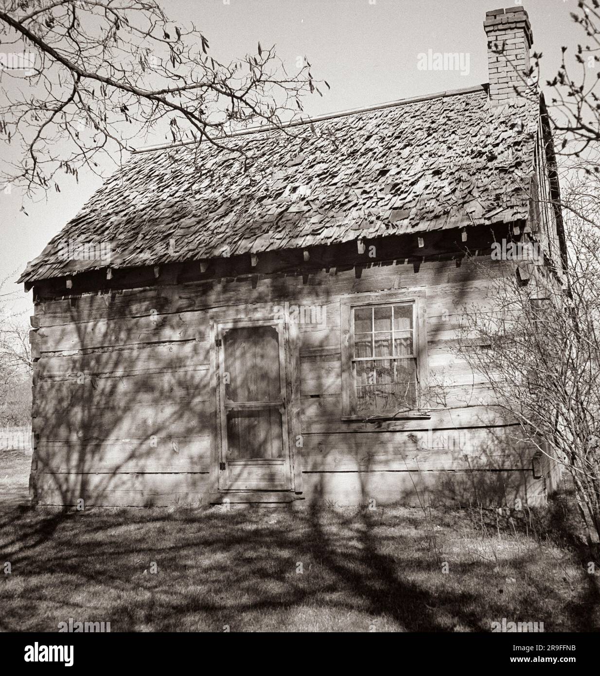 Photographer Dorothea Lange photographs America during and after the ...