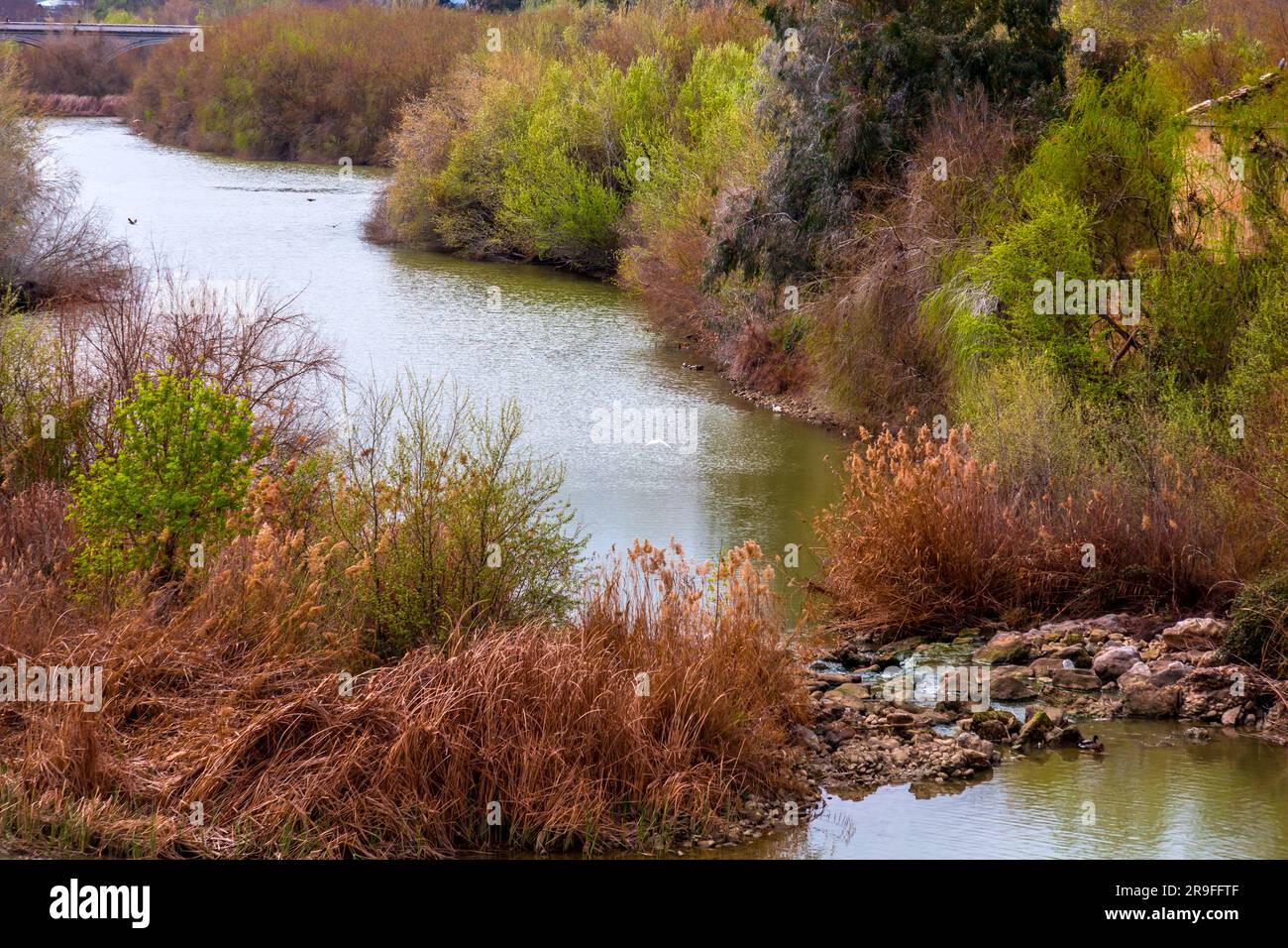 View from the Guadalquivir (Wadi al keebeer in Arabic) River from the ...