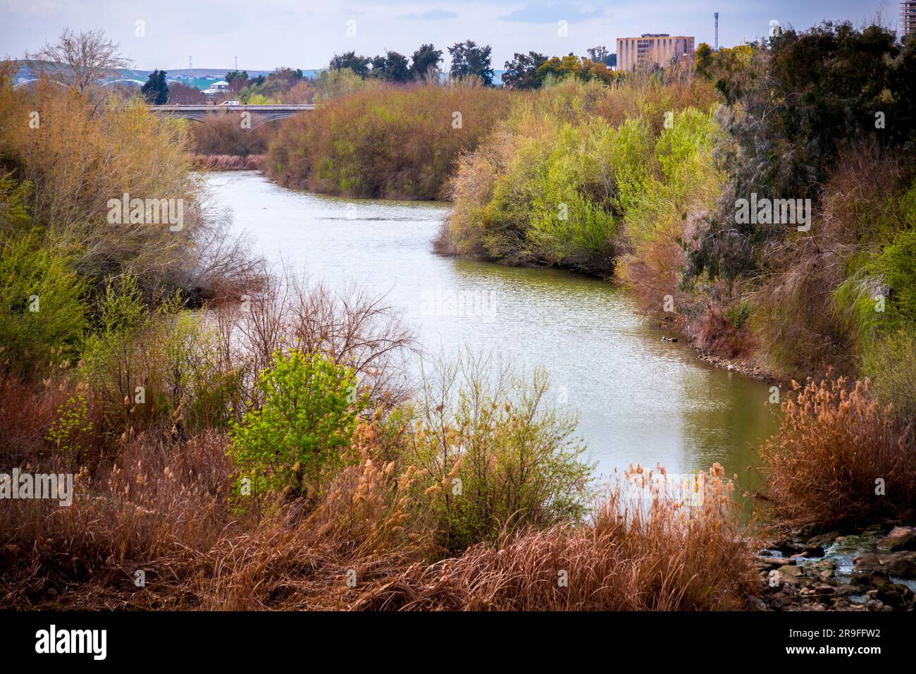 View from the Guadalquivir (Wadi al keebeer in Arabic) River from the ...