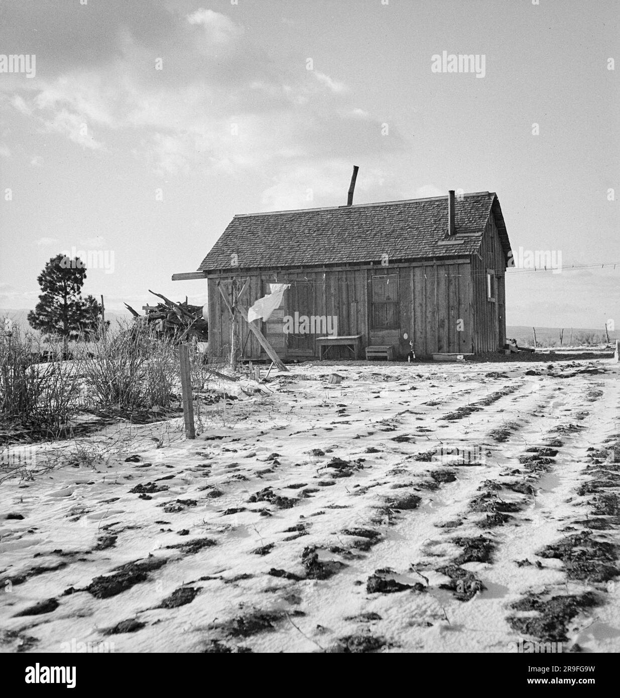 Photographer Dorothea Lange photographs America during and after the ...