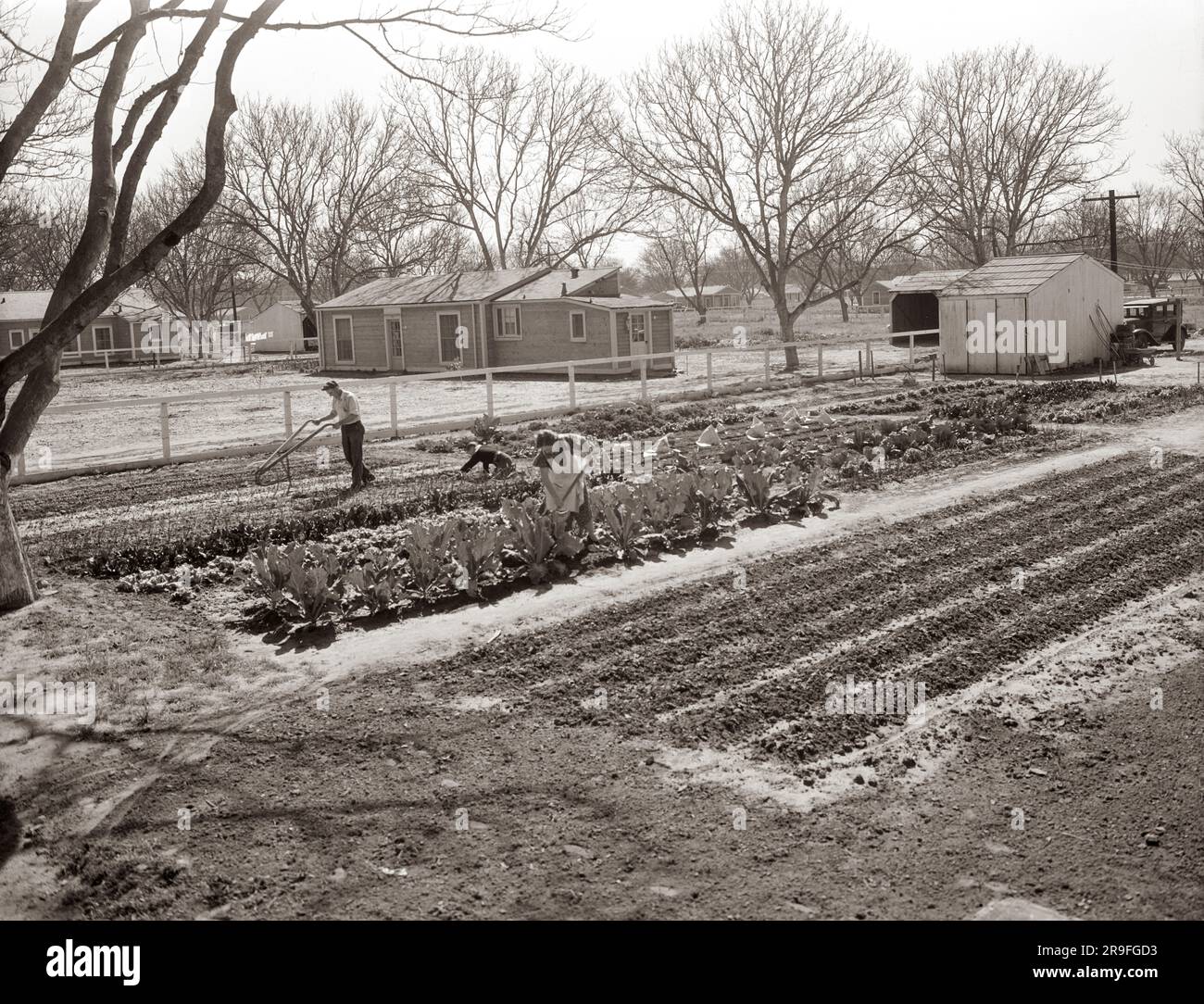 Photographer Dorothea Lange photographs America during and after the ...