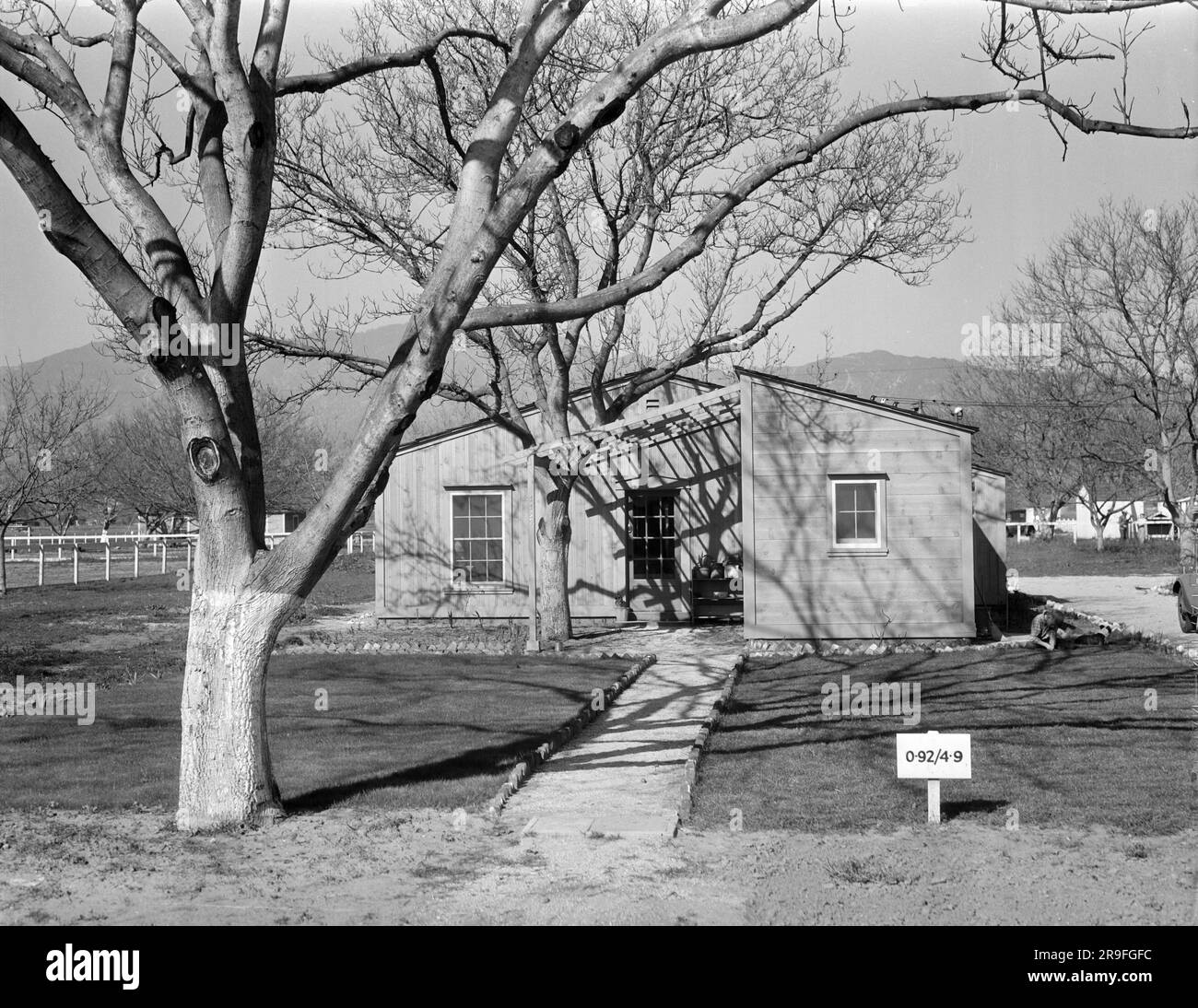Photographer Dorothea Lange photographs America during and after the ...