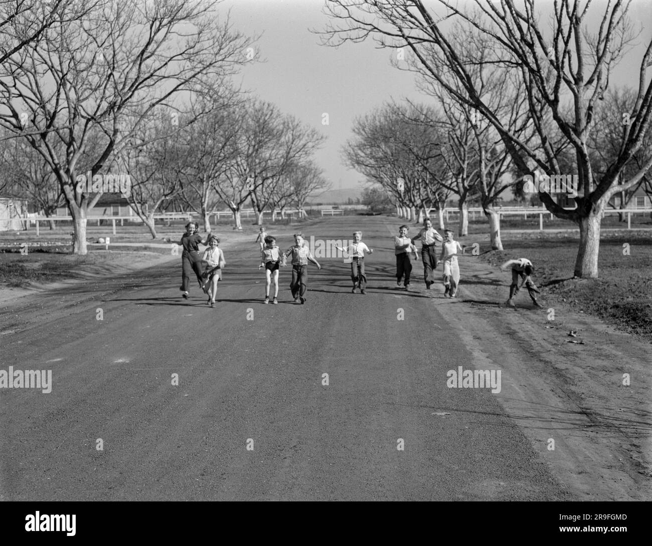 Photographer Dorothea Lange photographs America during and after the ...