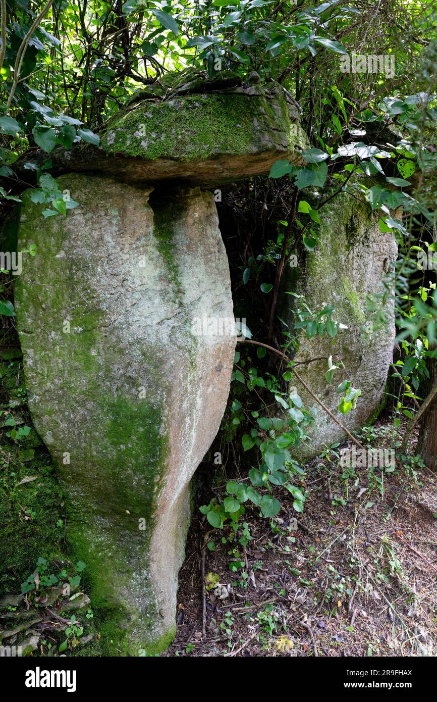 Labyrinth Rocks, a series of Limestone Canyons in a Public Reserve ...