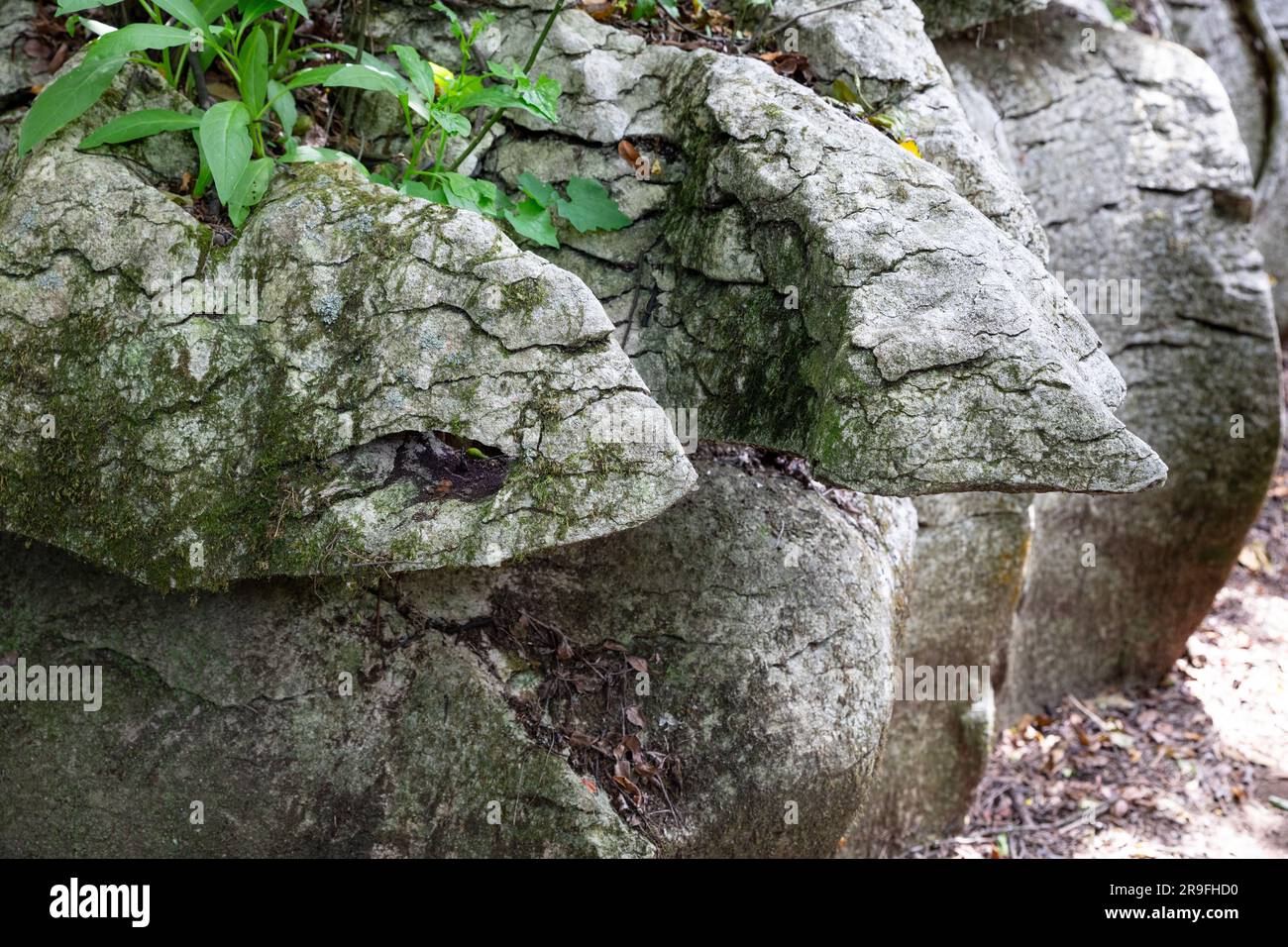 Labyrinth Rocks, a series of Limestone Canyons in a Public Reserve ...