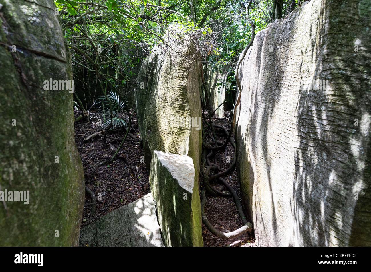 Labyrinth Rocks, a series of Limestone Canyons in a Public Reserve ...