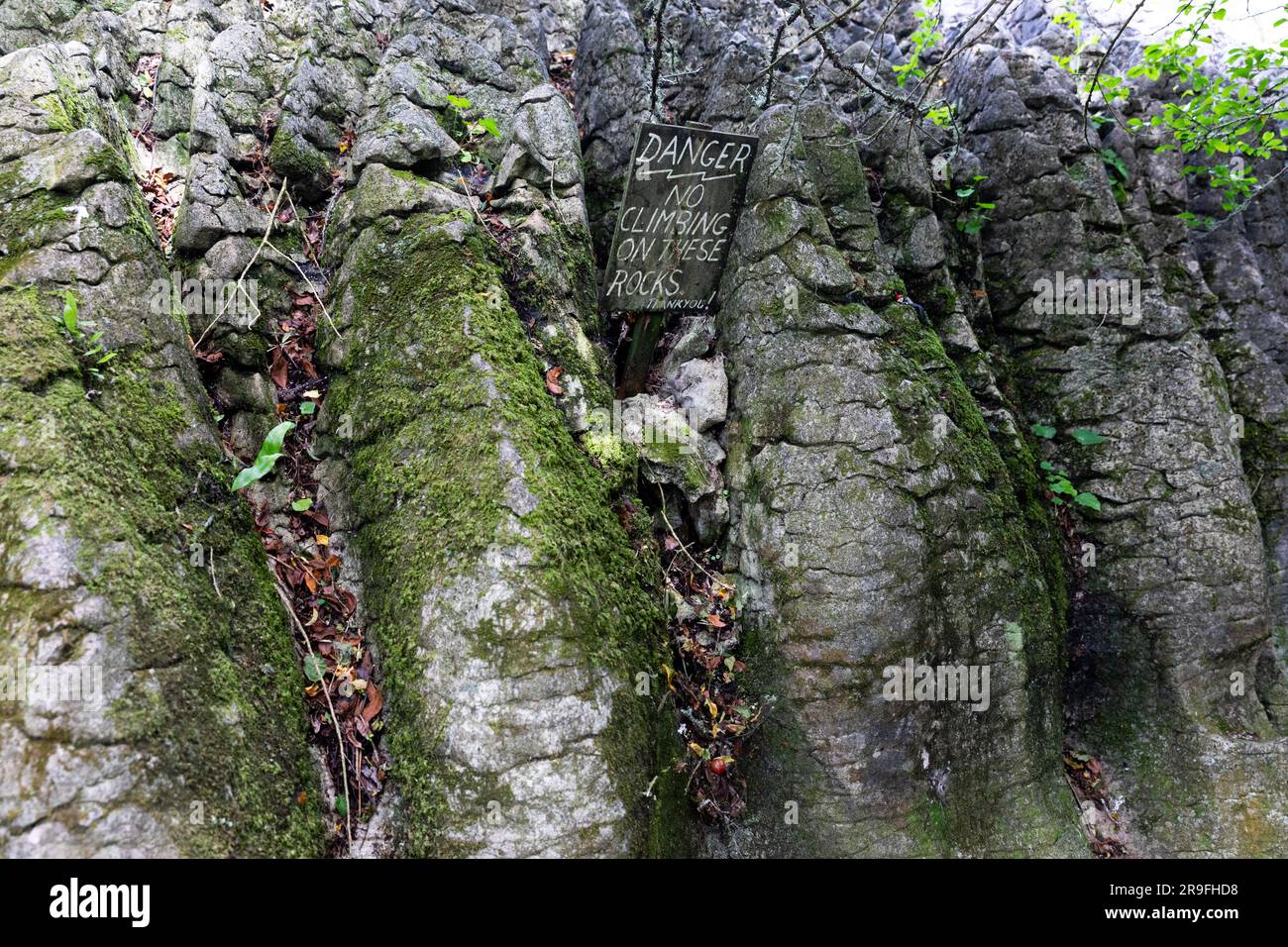 Labyrinth Rocks, a series of Limestone Canyons in a Public Reserve ...