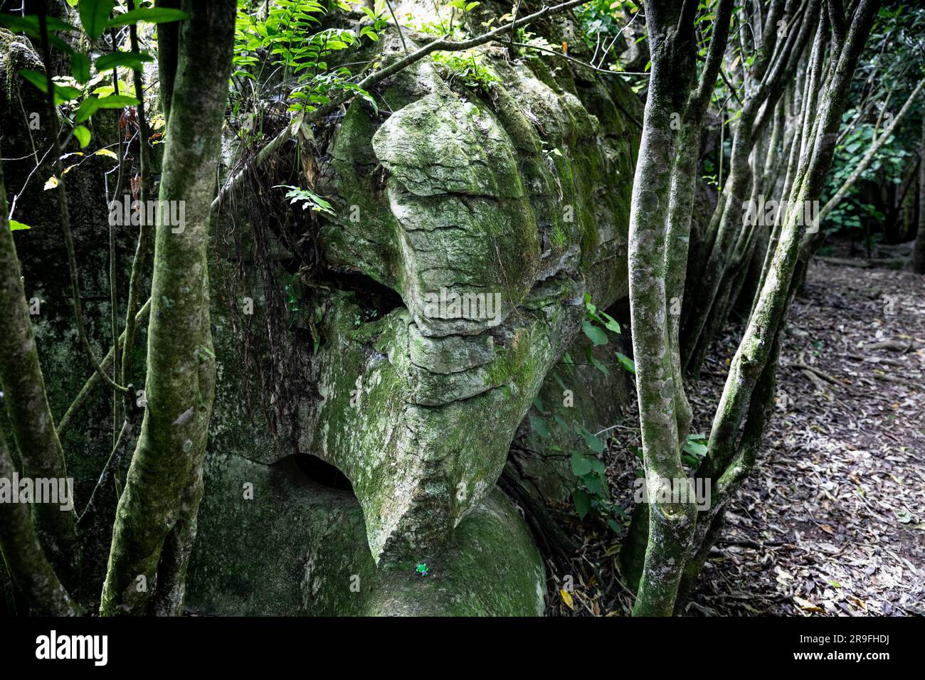 Labyrinth Rocks, a series of Limestone Canyons in a Public Reserve ...