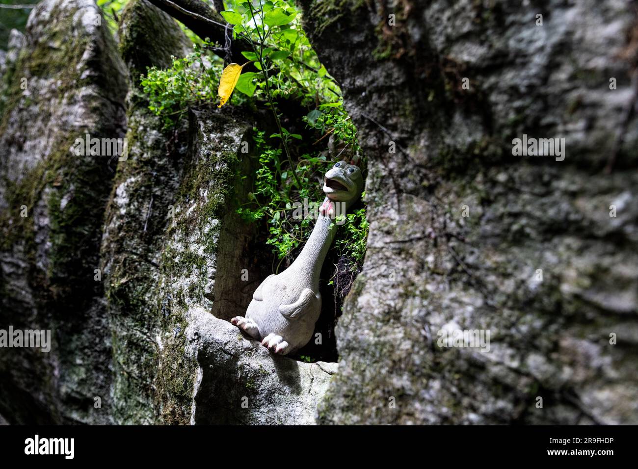 A toy left in the Labyrinth Rocks, a series of Limestone Canyons near ...