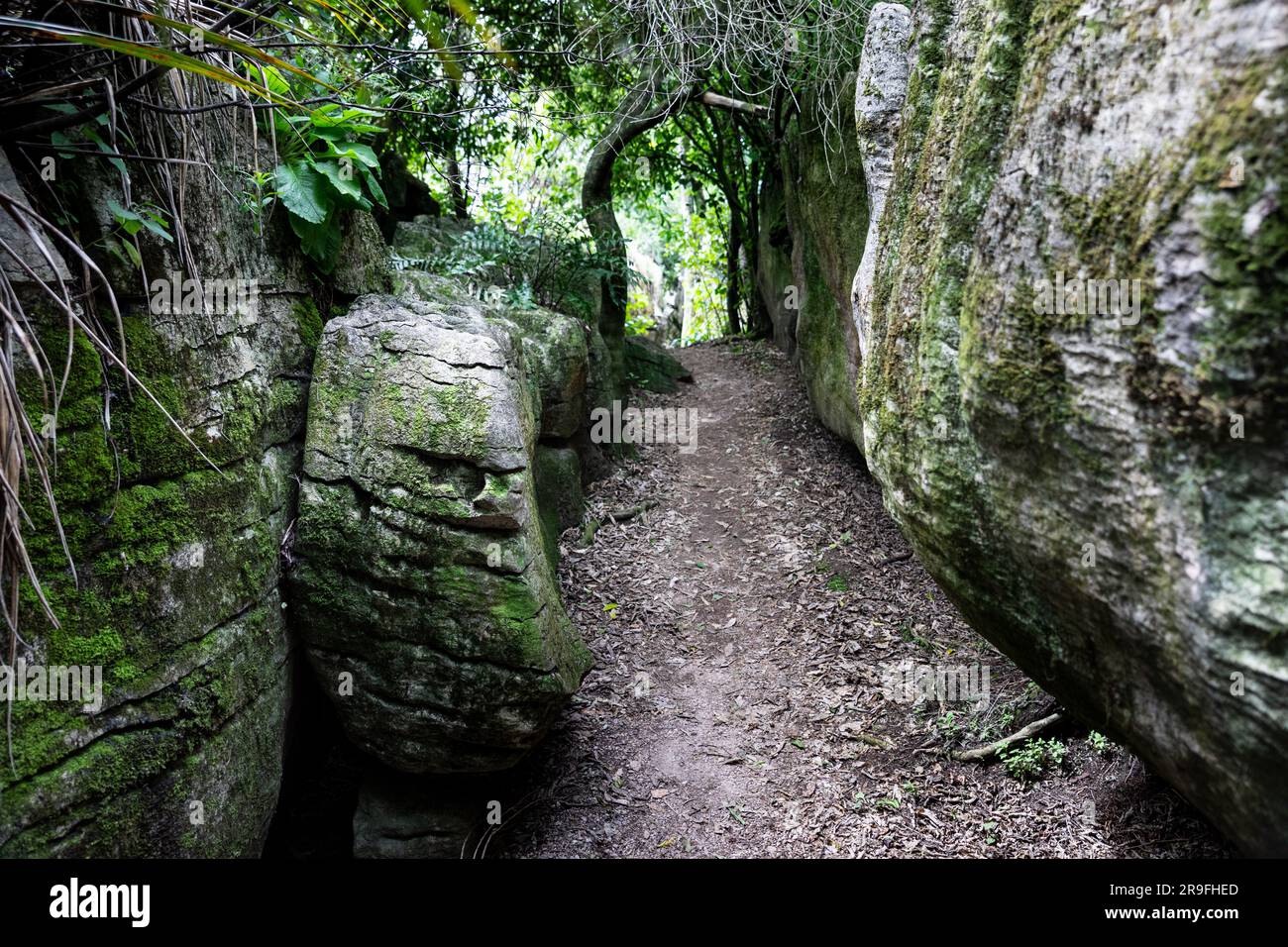 Labyrinth Rocks, a series of Limestone Canyons in a Public Reserve ...