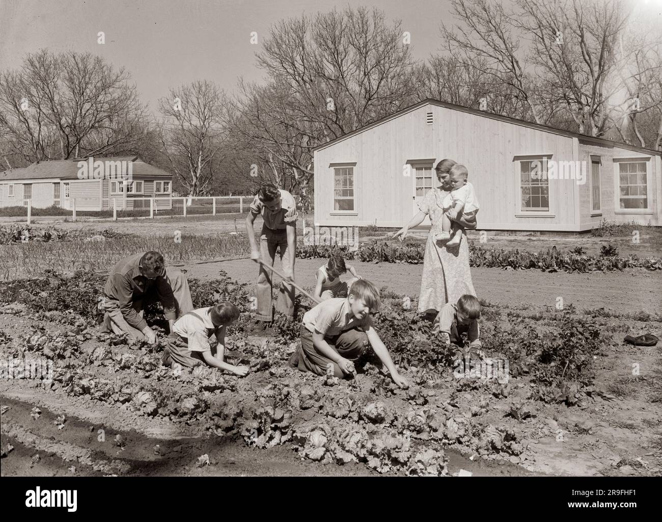 Photographer Dorothea Lange photographs America during and after the ...