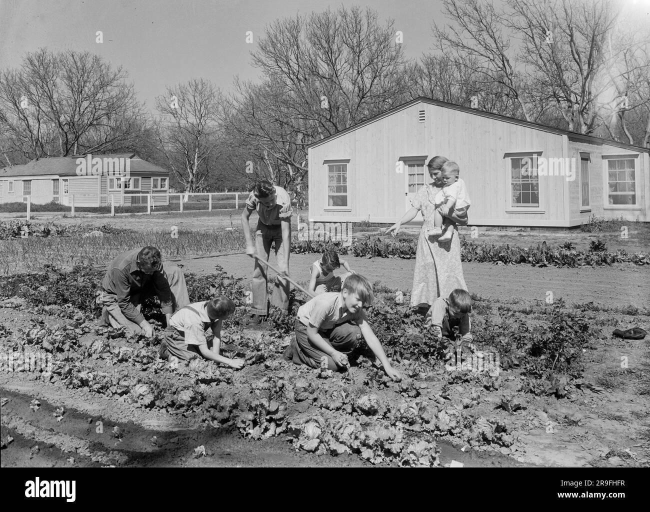 Photographer Dorothea Lange photographs America during and after the ...