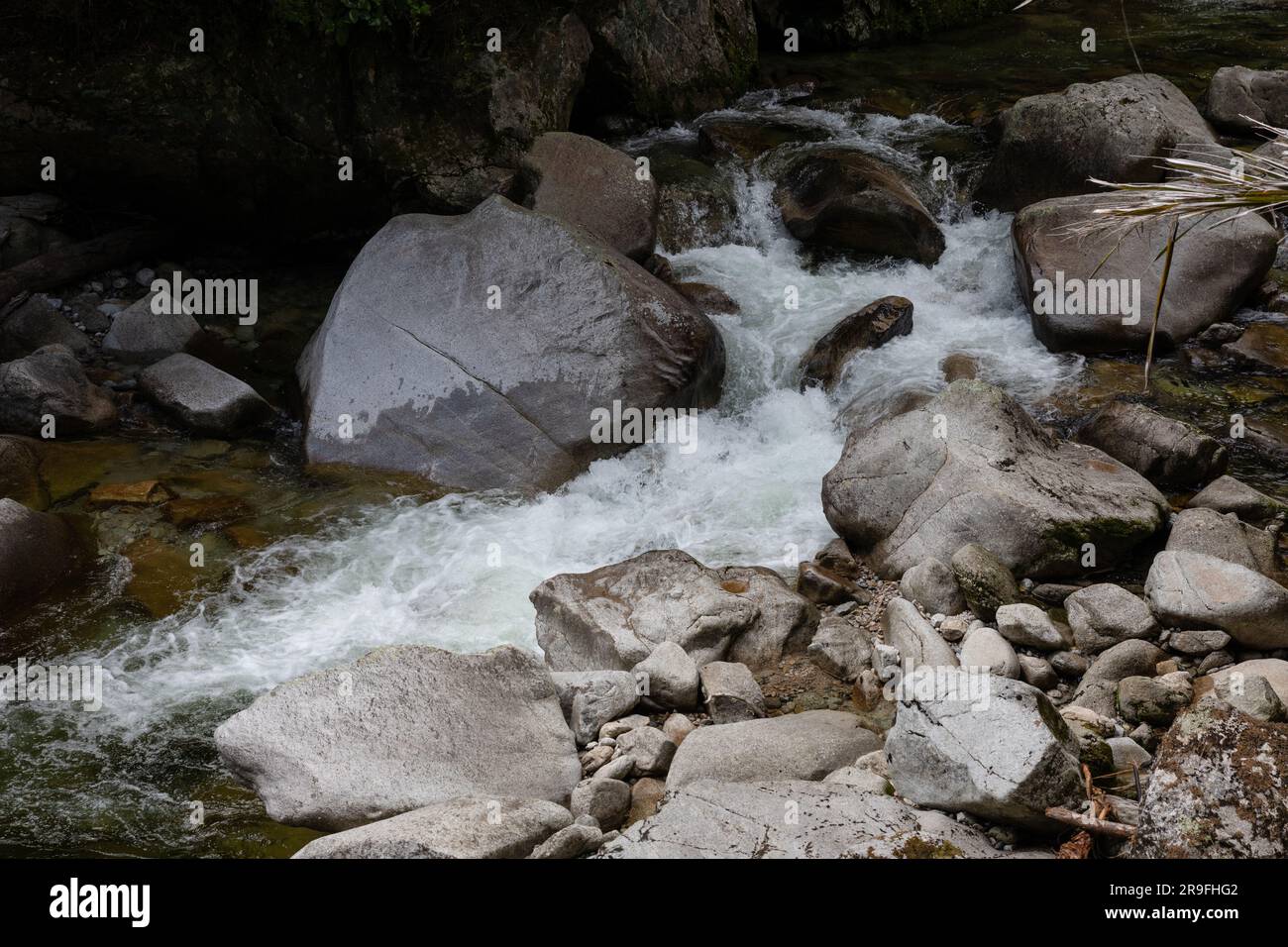 River views on Wainui Falls Waterfalls Walk from Wainui Bay, Tasman ...