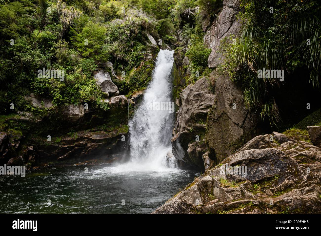 Wainui Falls Waterfalls Wainui Bay, Tasman Region, New Zealand, South ...