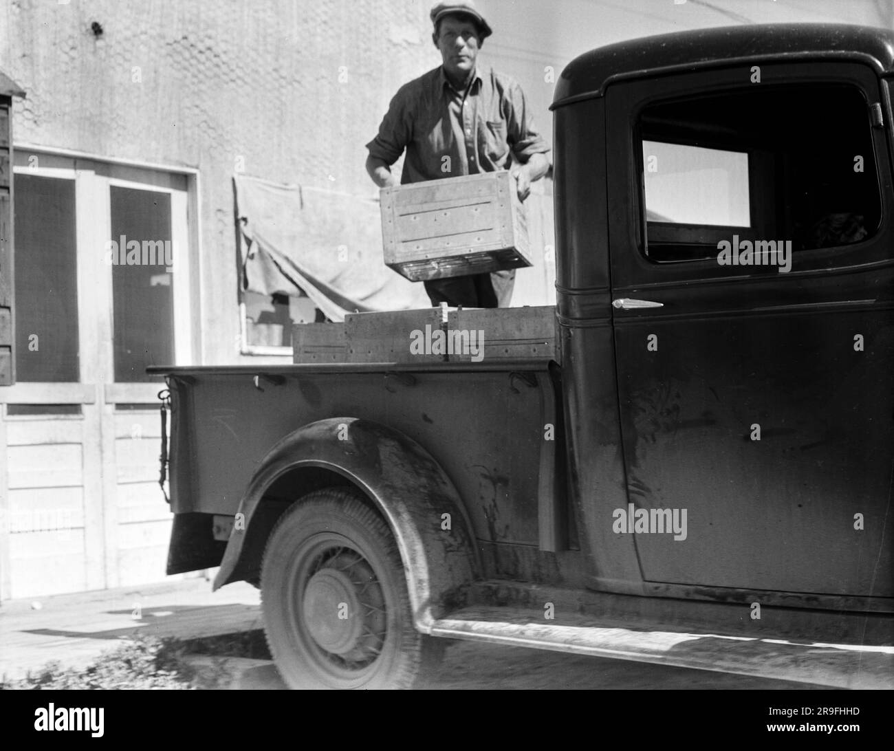 Photographer Dorothea Lange photographs America during and after the ...