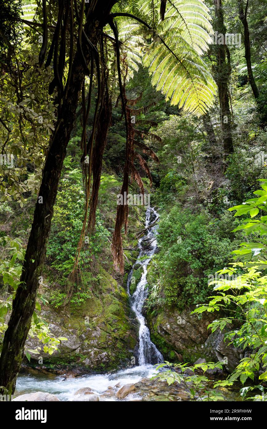 River views on Wainui Falls Waterfalls Walk from Wainui Bay, Tasman ...