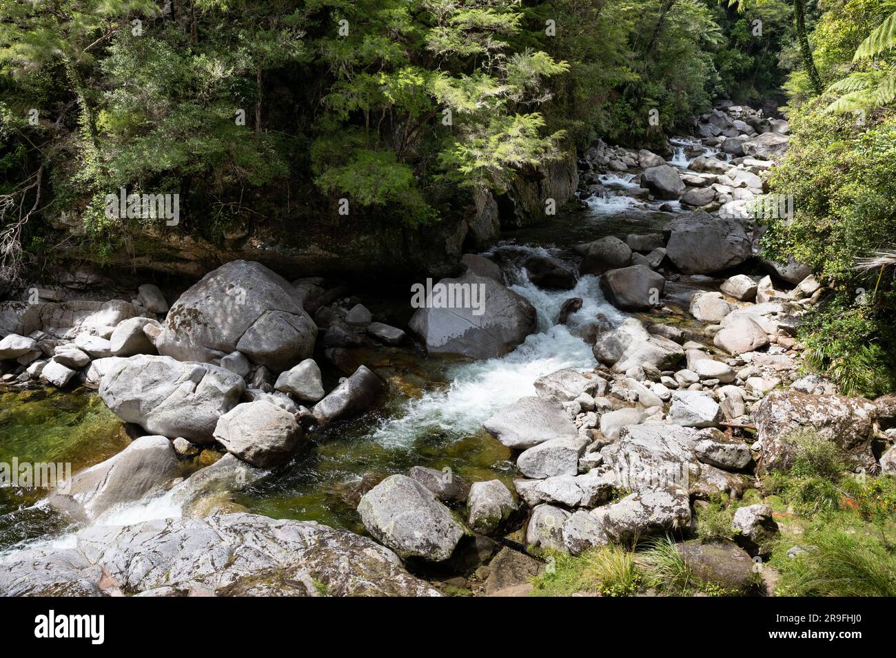 River views on Wainui Falls Waterfalls Walk from Wainui Bay, Tasman ...