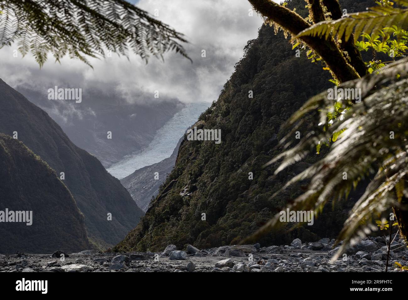 Fox Glacier Valley Walk – Te Moeka o Tuawe – Westland Tai Poutini ...