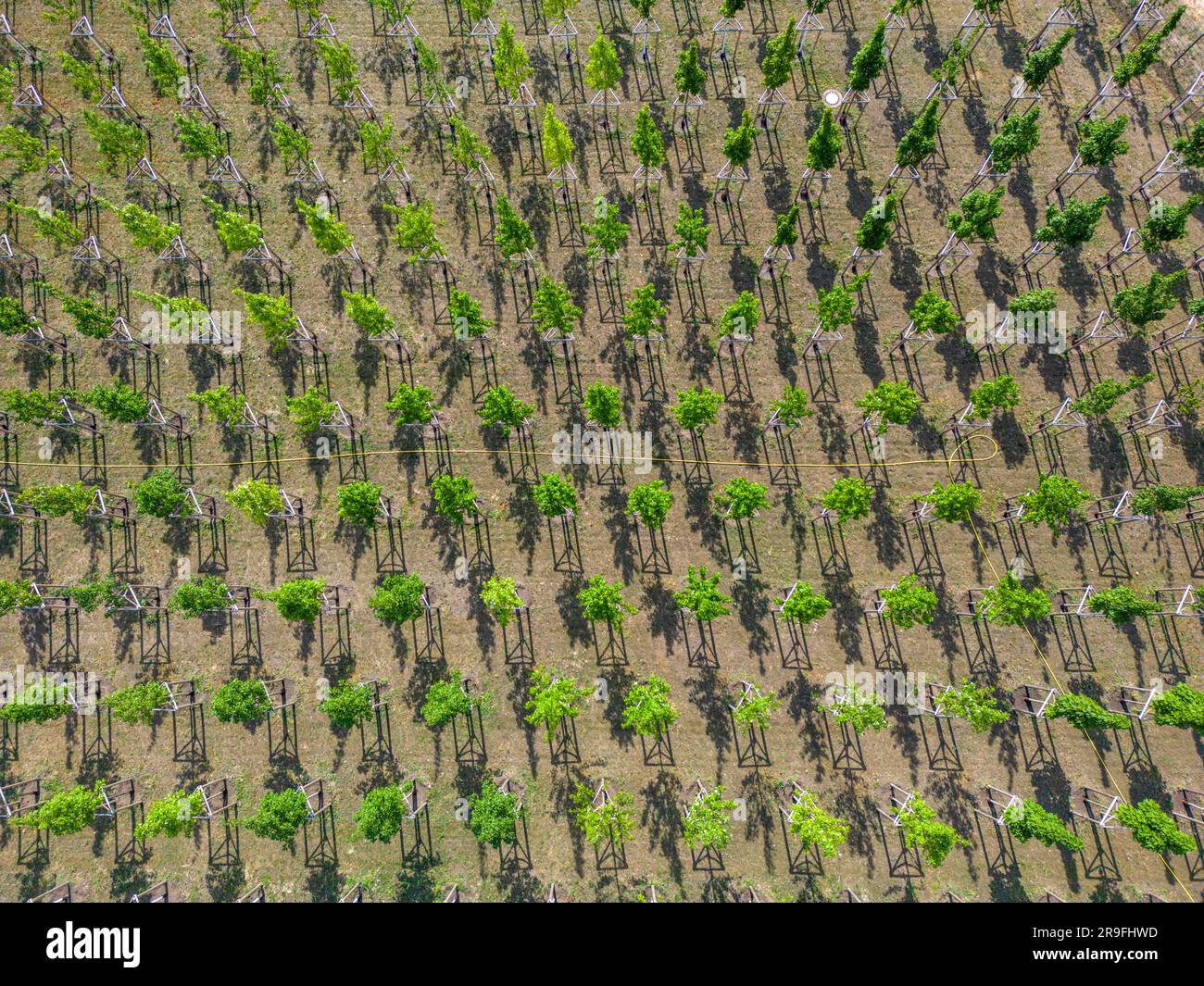 The Rheinpark in Duisburg-Hochfeld, on the Rhine, for over 150 years ...