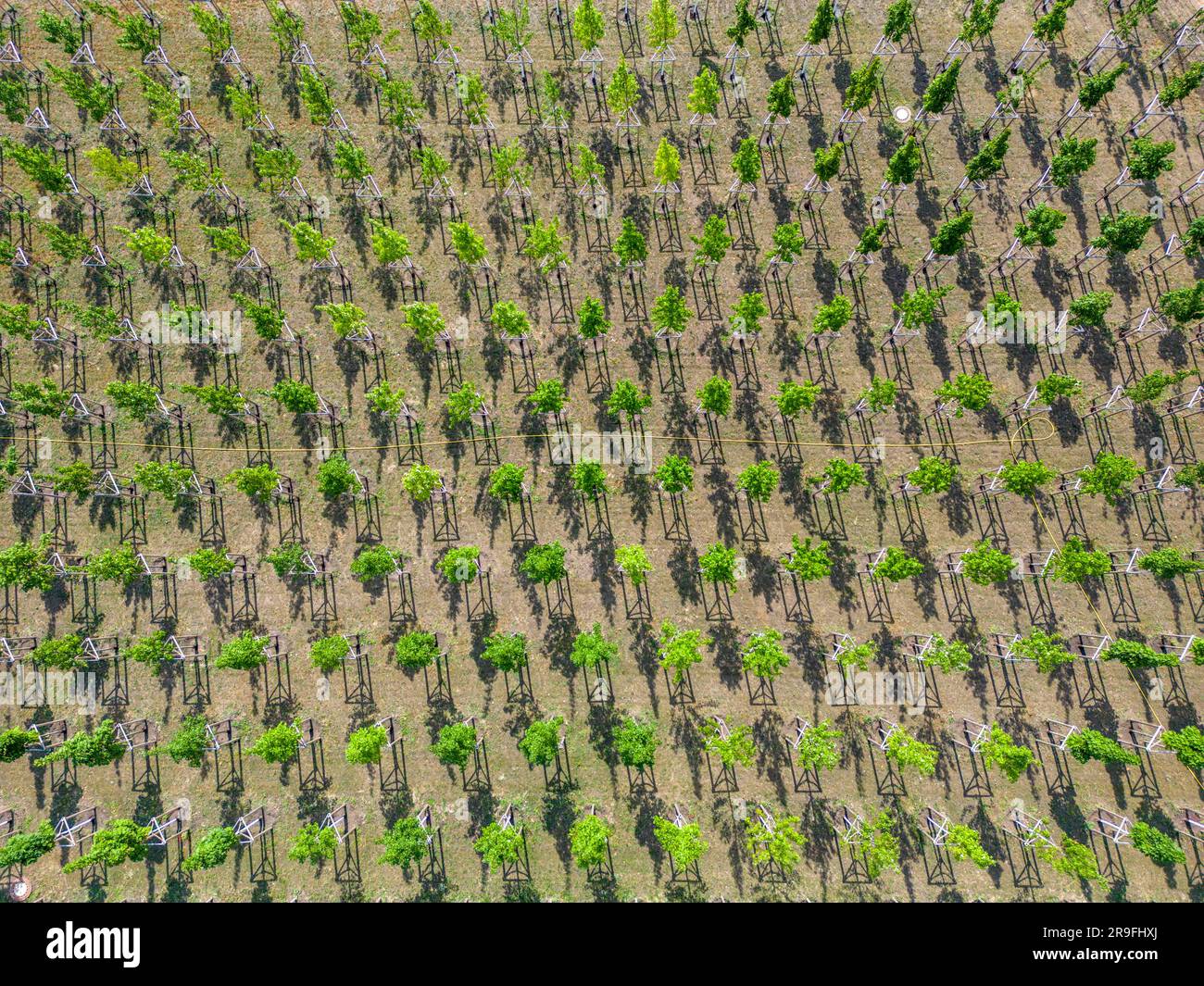 The Rheinpark in Duisburg-Hochfeld, on the Rhine, for over 150 years ...