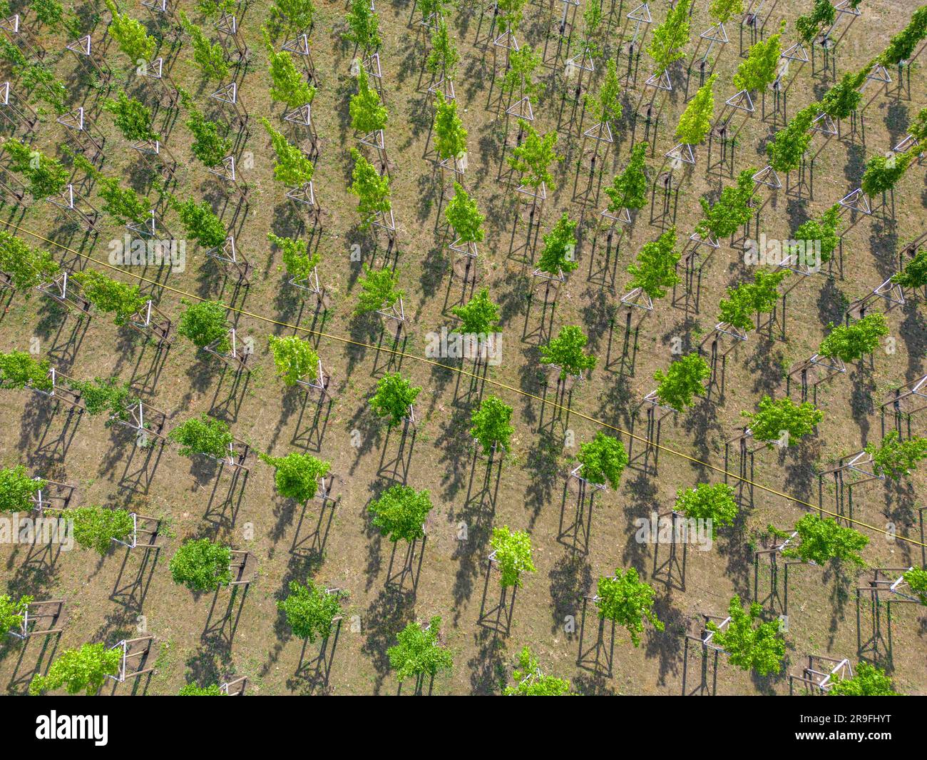 The Rheinpark in Duisburg-Hochfeld, on the Rhine, for over 150 years ...