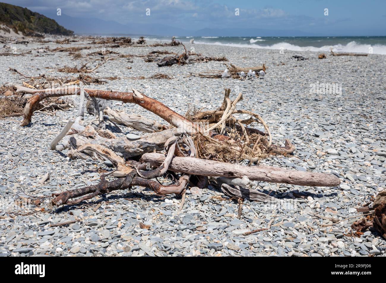 Washed up trees and driftwood on windswept Ship Creek Beach on West ...