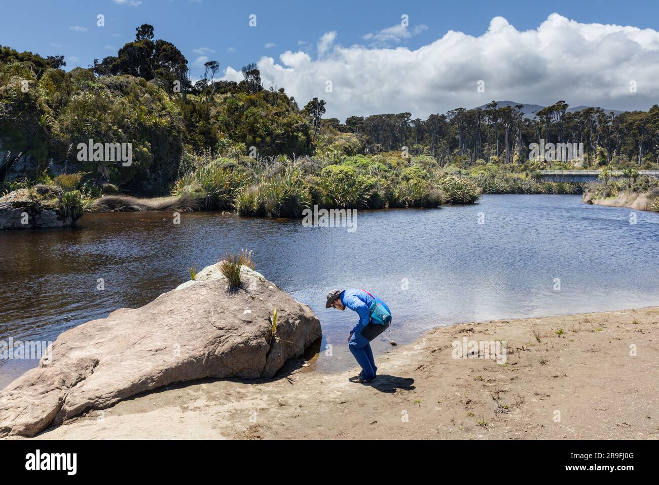 Tourists at Windswept Ship Creek Beach West Coast New Zealand South ...