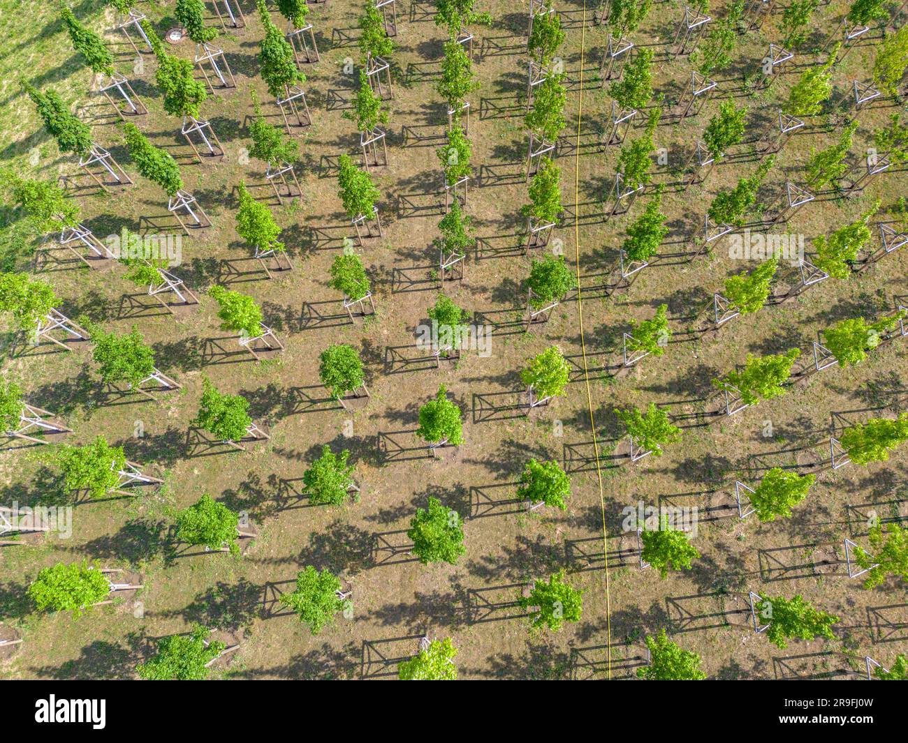 The Rheinpark in Duisburg-Hochfeld, on the Rhine, for over 150 years ...