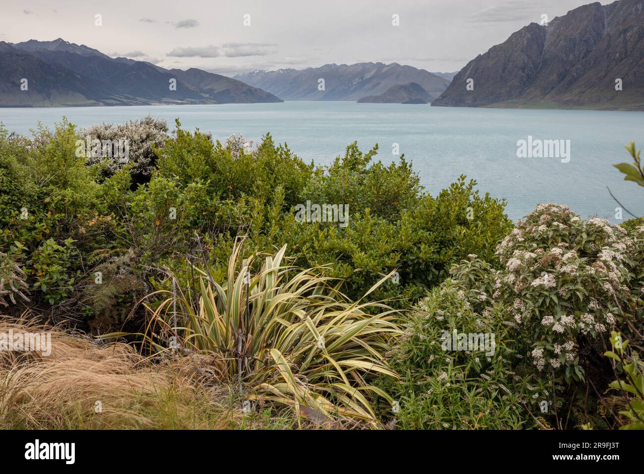 Lake Hawea Lookout on the roadside of Highway 6 in the The Neck area of ...
