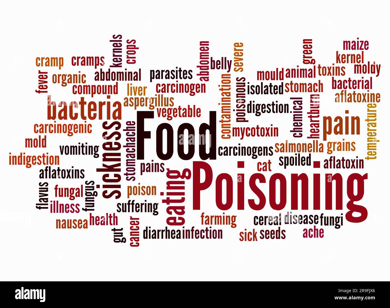 Word Cloud with FOOD POISONING concept create with text only Stock ...