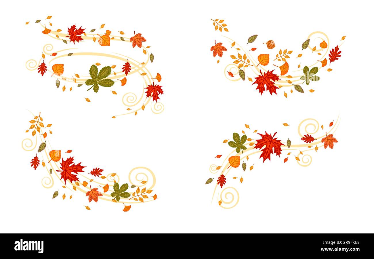 Set of Autumn leaves flying on the wind vector illustration on white ...