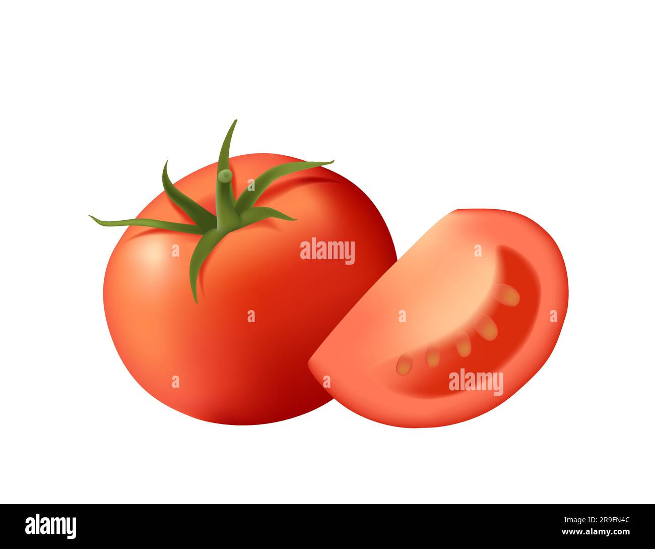Realistic style whole and slice sweet tasty tomato vegetable with green ...