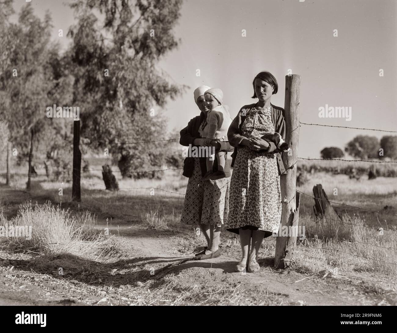 Photographer Dorothea Lange photographs America during and after the ...