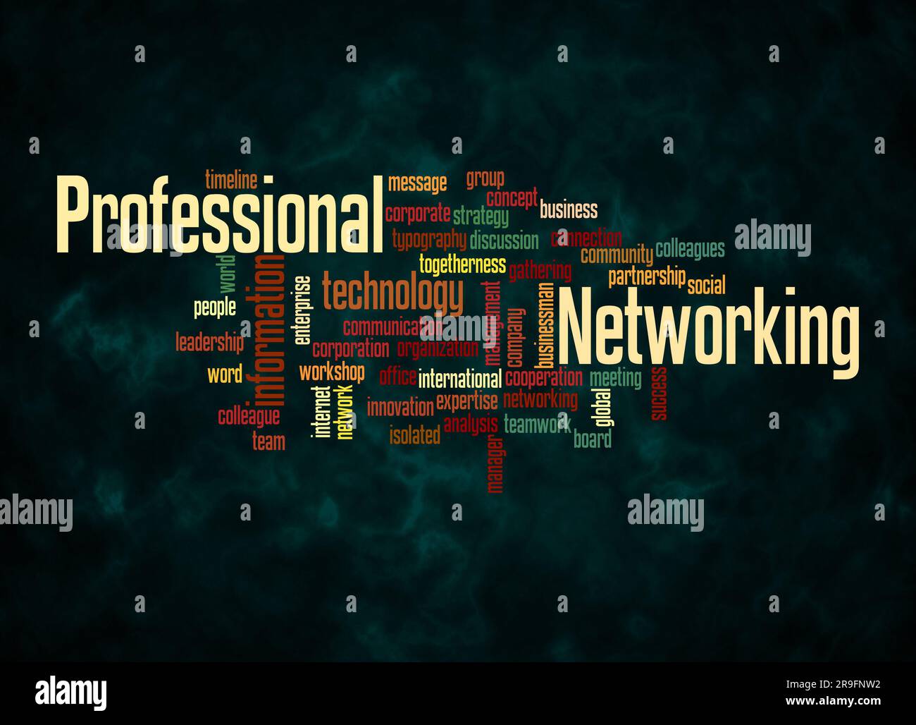 Word Cloud with PROFESSIONAL NETWORKING concept create with text only ...