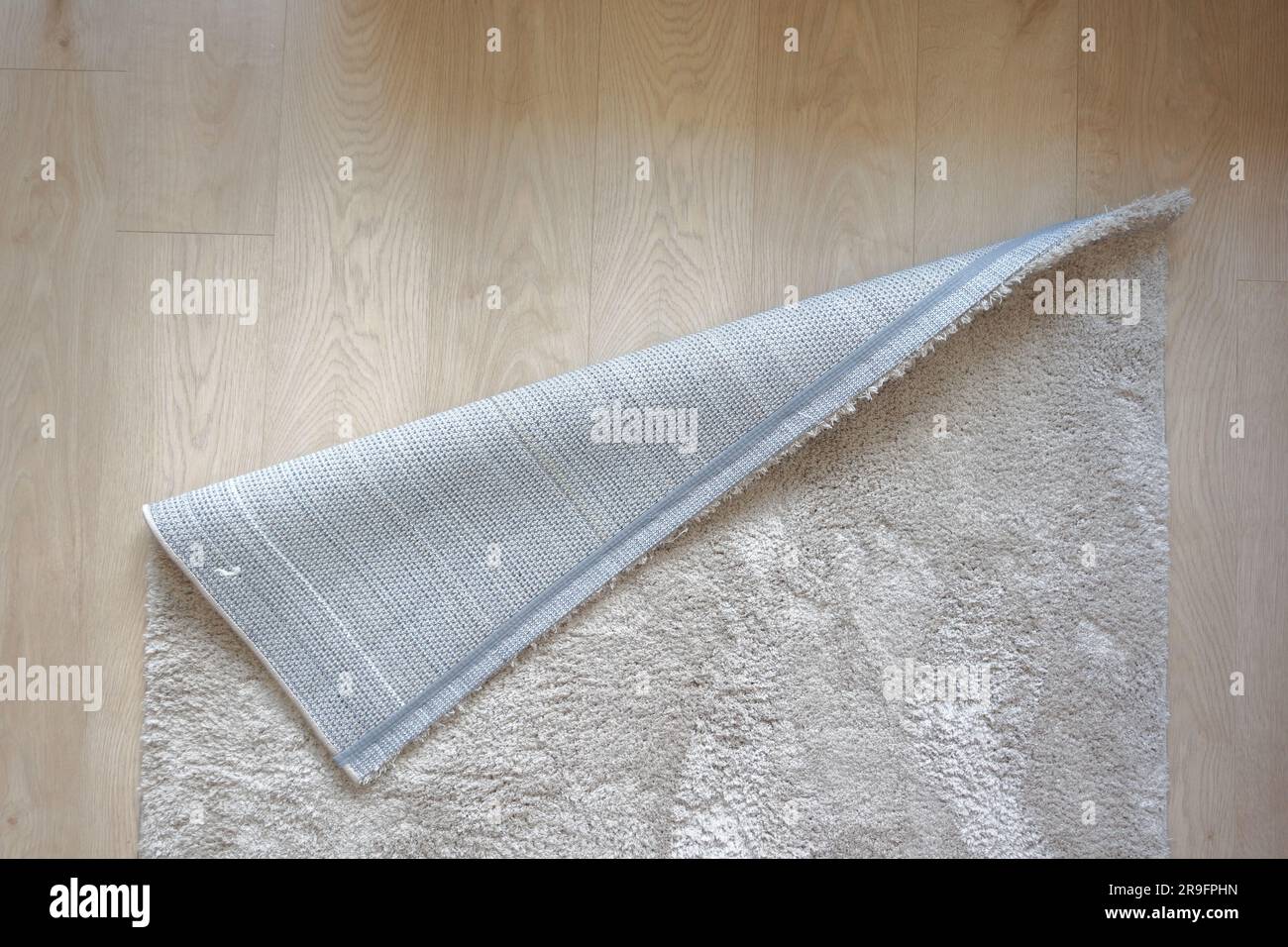Seamless grey carpet texture background on wooden floor with copy space ...