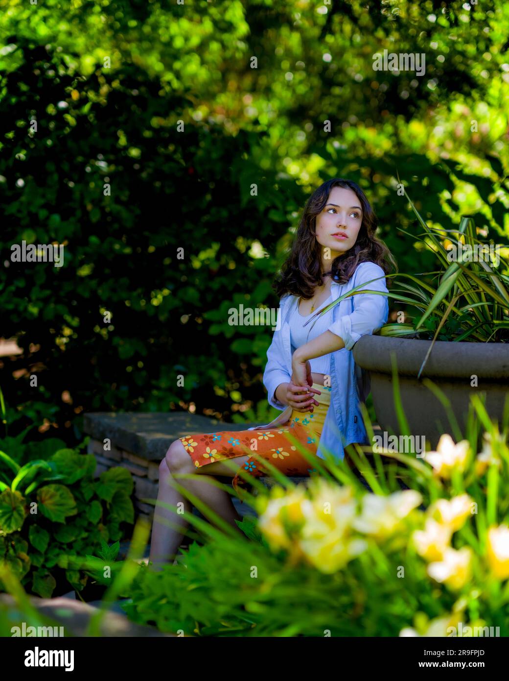 Daisies spring day blue skies hi-res stock photography and images - Alamy