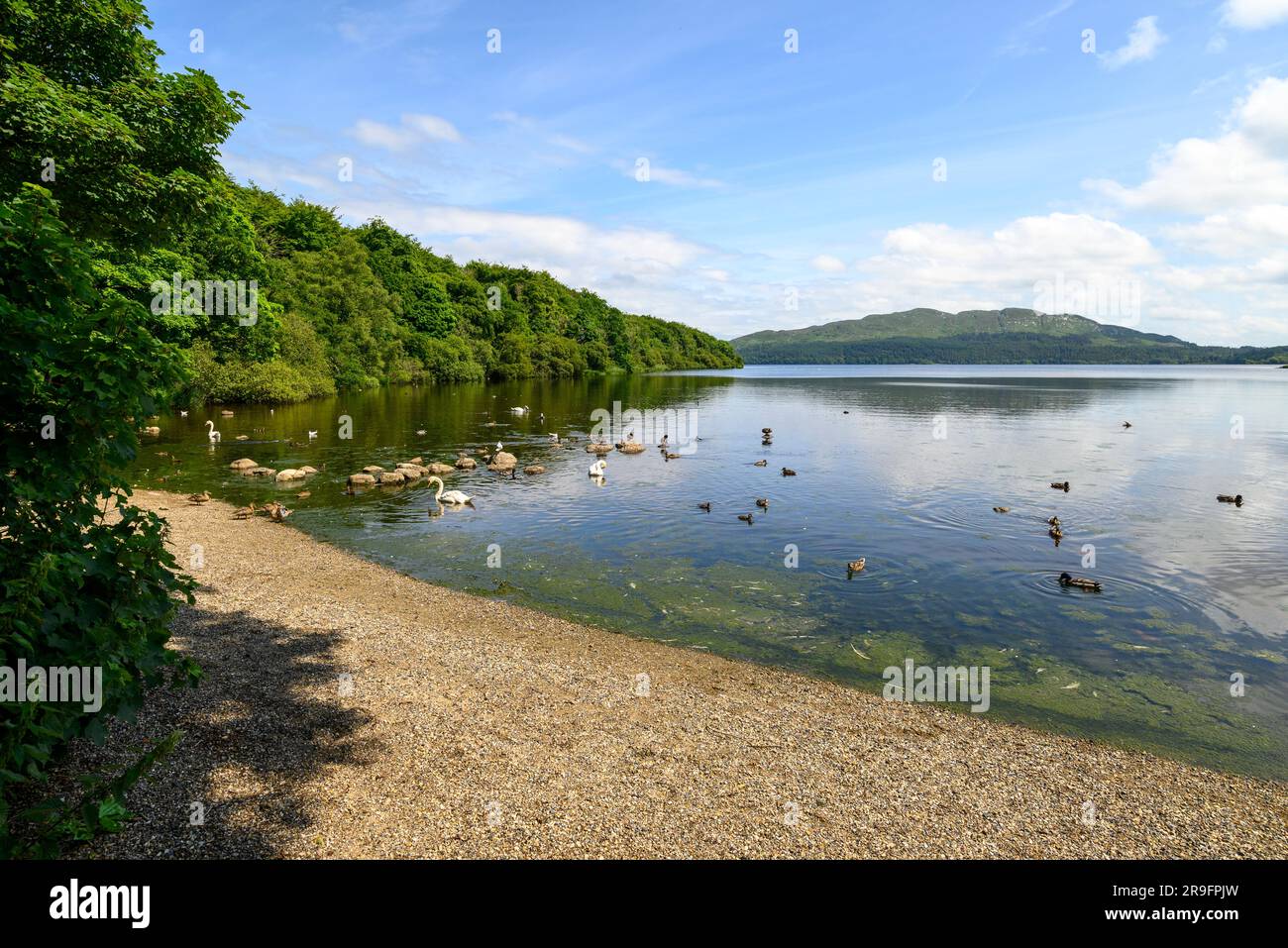 Lough Gill, Country Sligo, Ireland, viewed from Hazelwood Stock Photo ...