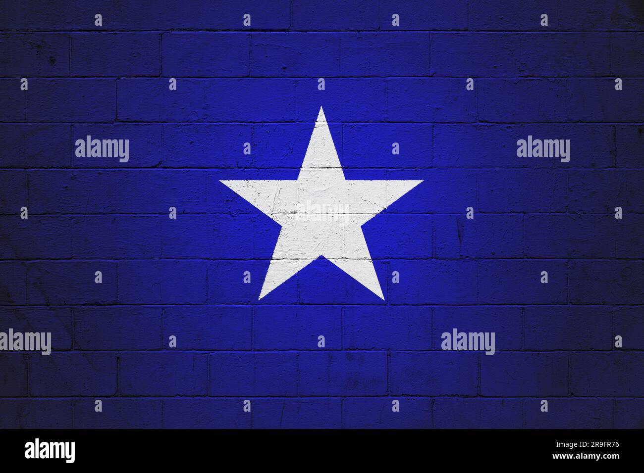 Flag of Bonnie blue painted on a cinder block wall Stock Photo - Alamy